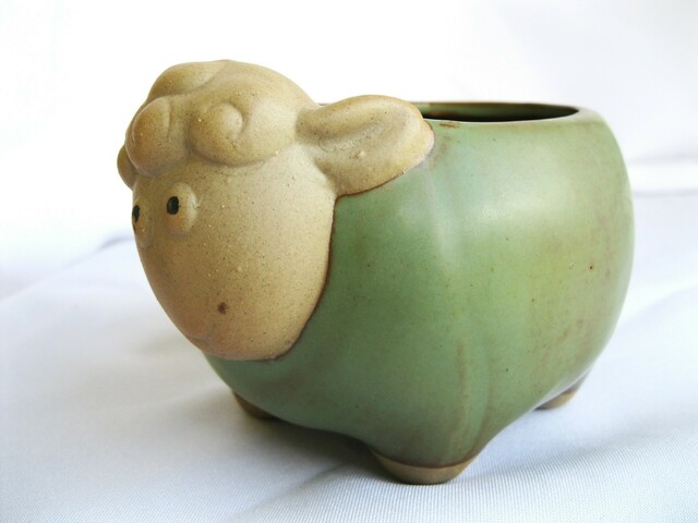 Farm animals Planter pot - Always Alive