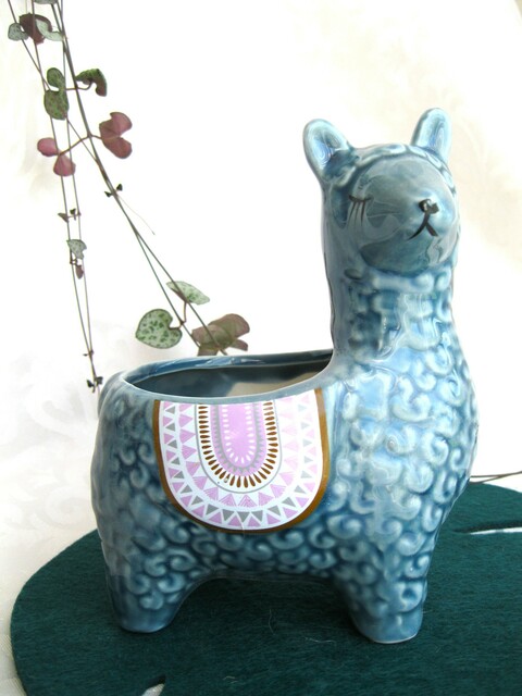 LLama planter pot - Always Alive